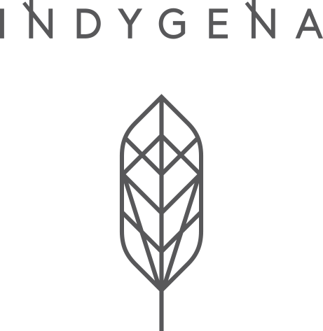 Shop Indyeva at Janan Boutique | Janan Boutique
